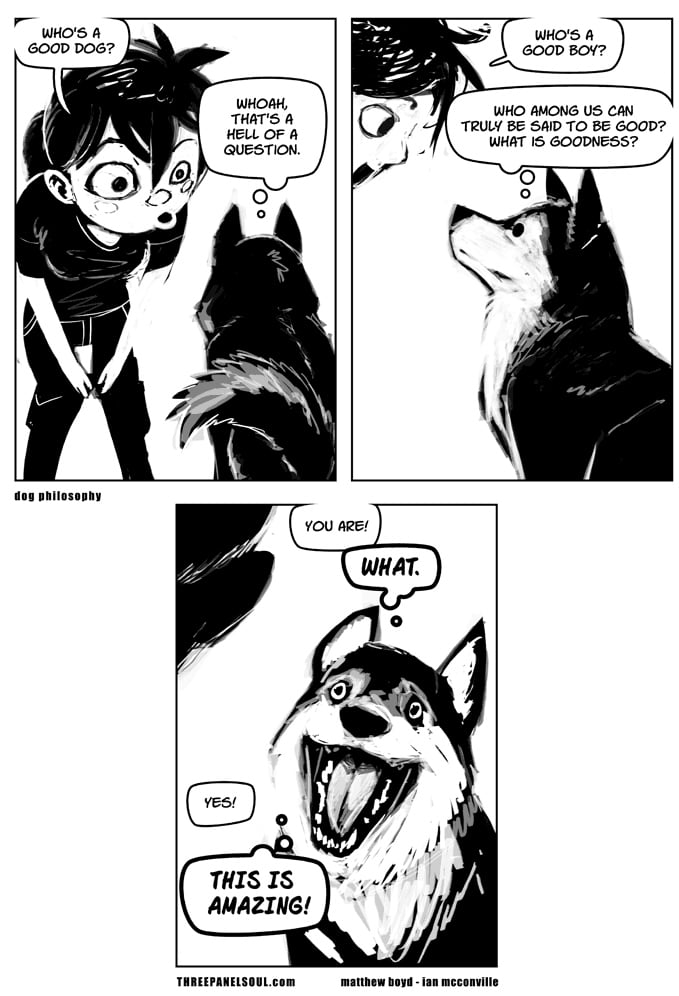 Who s A Good Dog 9GAG Who s A Good Dog 9GAG