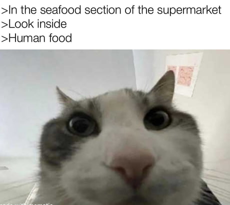 Best Funny look inside Memes - 9GAG