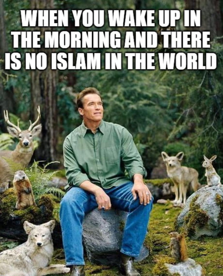 Best Funny peace Memes - 9GAG