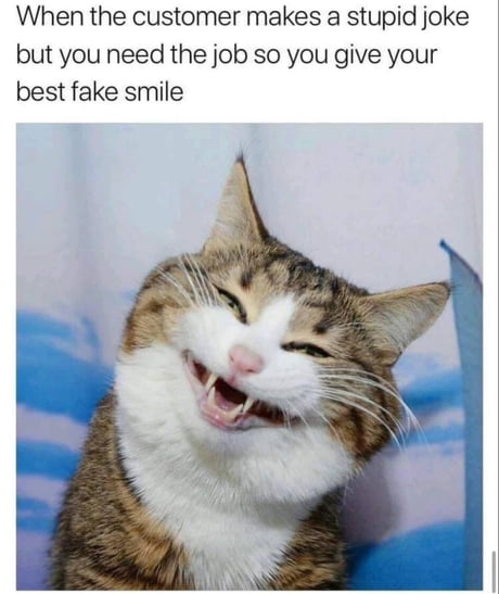 Best Funny cat comedy Memes - 9GAG