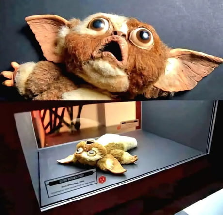 Gizmo Lute Comigo Meme