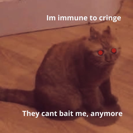 Inmune Memes Undefined