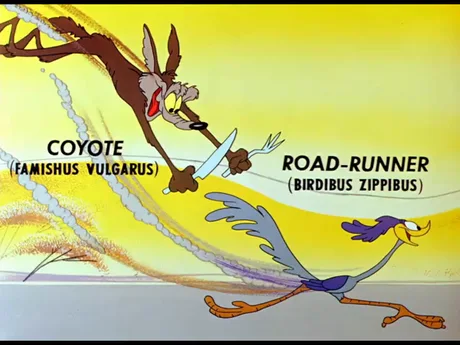 Roadrunner Cartoon Memes