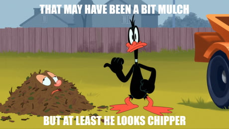 Best Funny daffy duck Memes - 9GAG