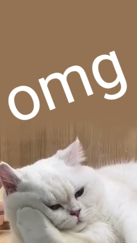 Best Funny tsk tsk tsk Memes - 9GAG