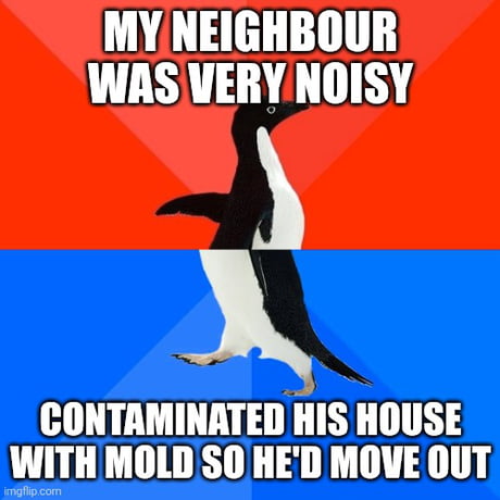 Neighbourhood Memes