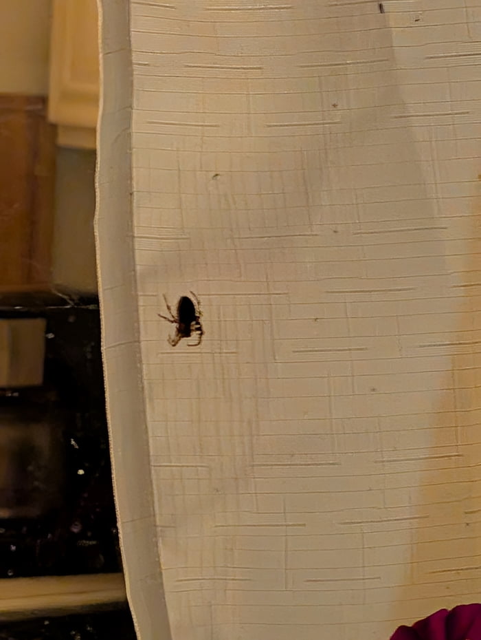 This is Steve, Steve is friend. Steve is I always out in the morning to ...