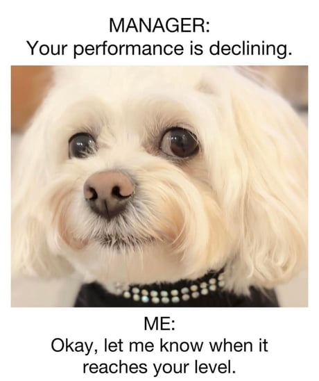 Best Funny performance Memes - 9GAG