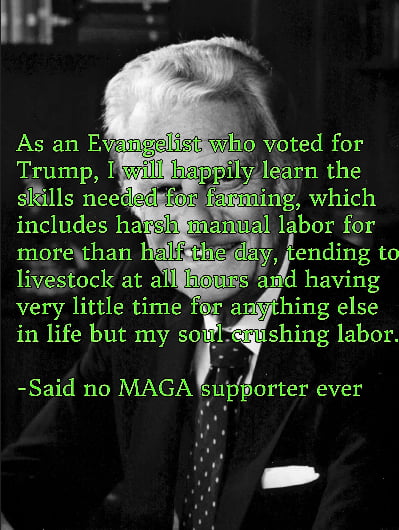 said no Maga supporter EVER - 9GAG