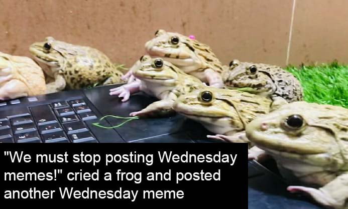It's Wednesday my dudes - 9GAG