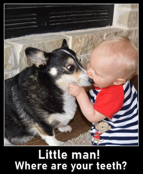 Best Funny teeth Memes - 9GAG