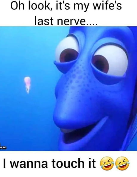 Best Funny fu Memes - 9GAG