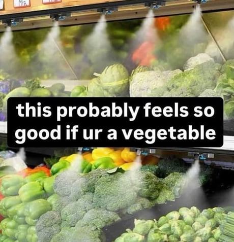 Best Funny broccoli Memes - 9GAG