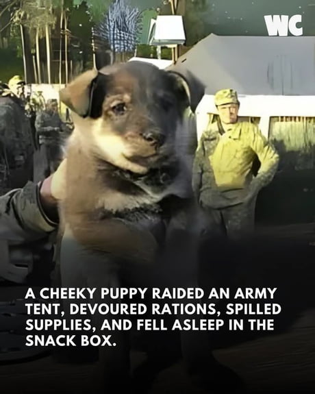 Best Funny winner Memes - 9GAG