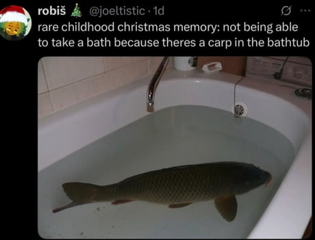 Best Funny carp Memes - 9GAG
