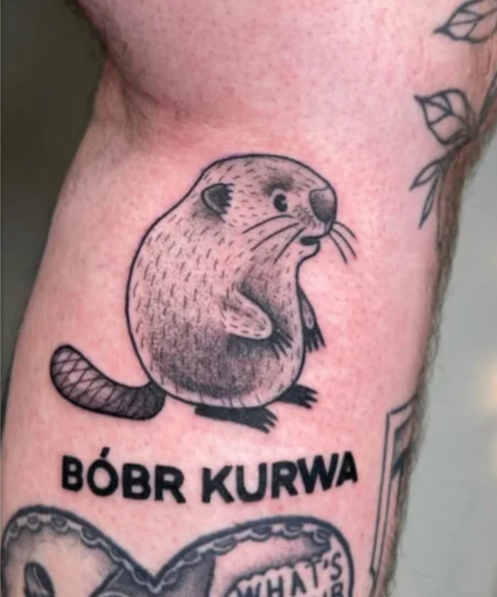 One less to worry if bóbr is safe. - 9GAG