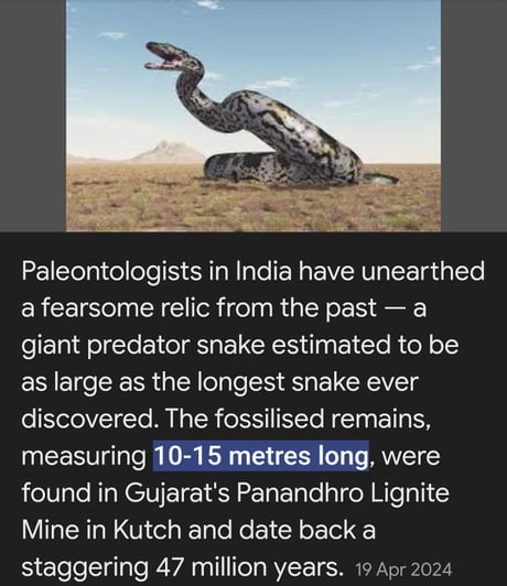 Anaconda Snake Memes