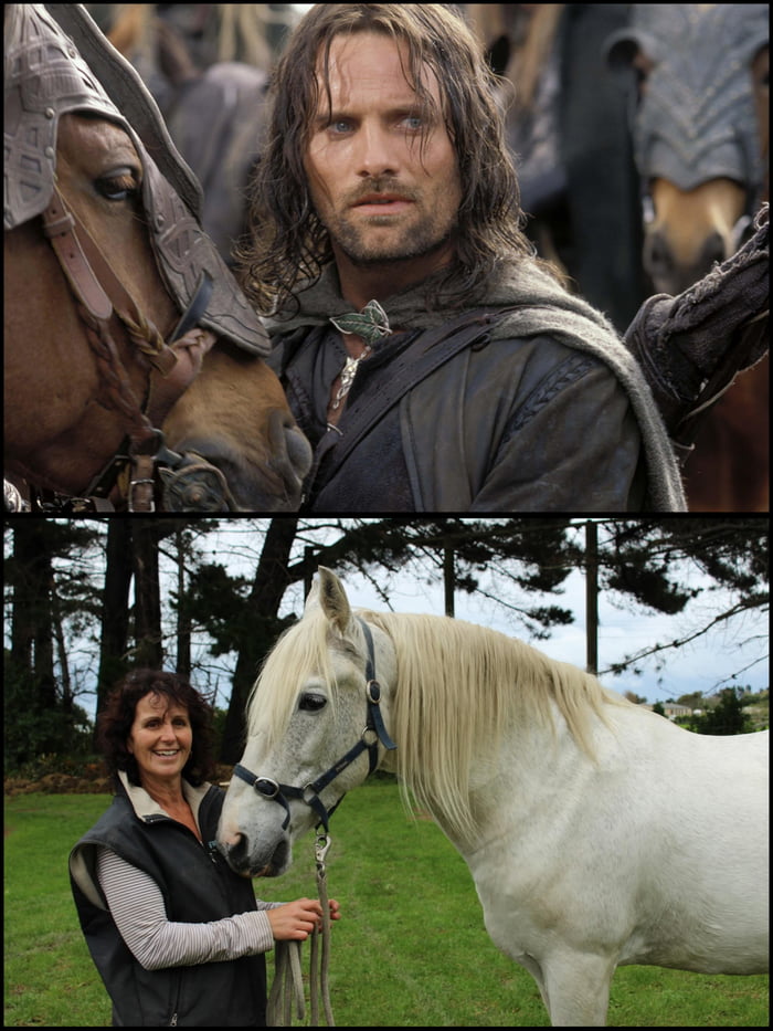 Most people know that Viggo Mortensen bought the horse that played ...