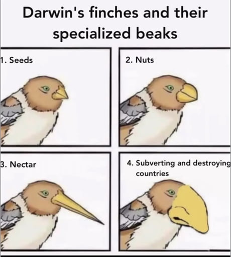 Best Funny beaks Memes - 9GAG