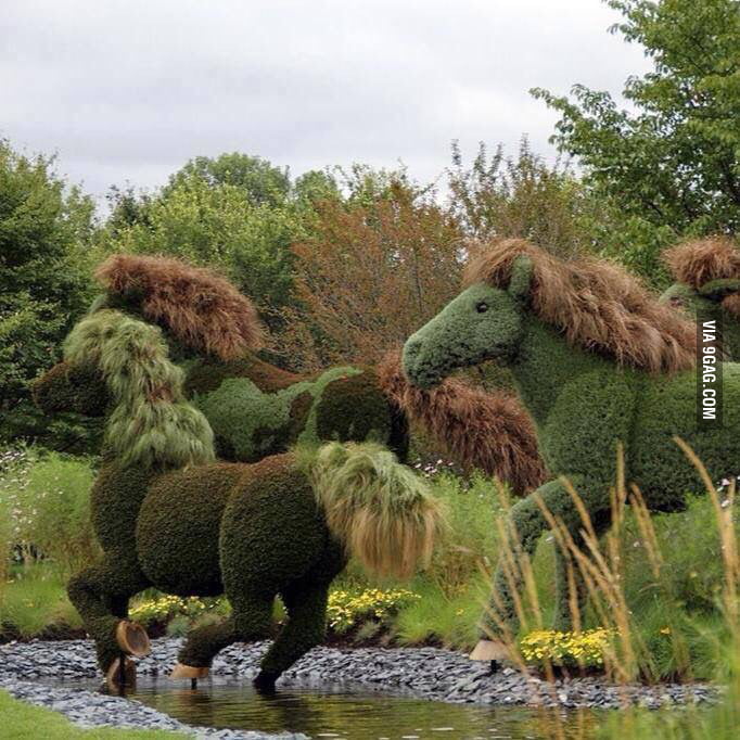 Brilliant Hedge Art - 9GAG