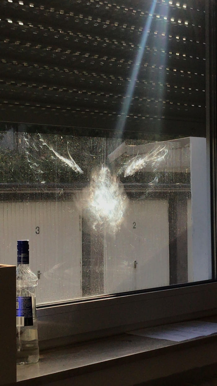 So apparently a bird hit my window and left this mark. - 9GAG