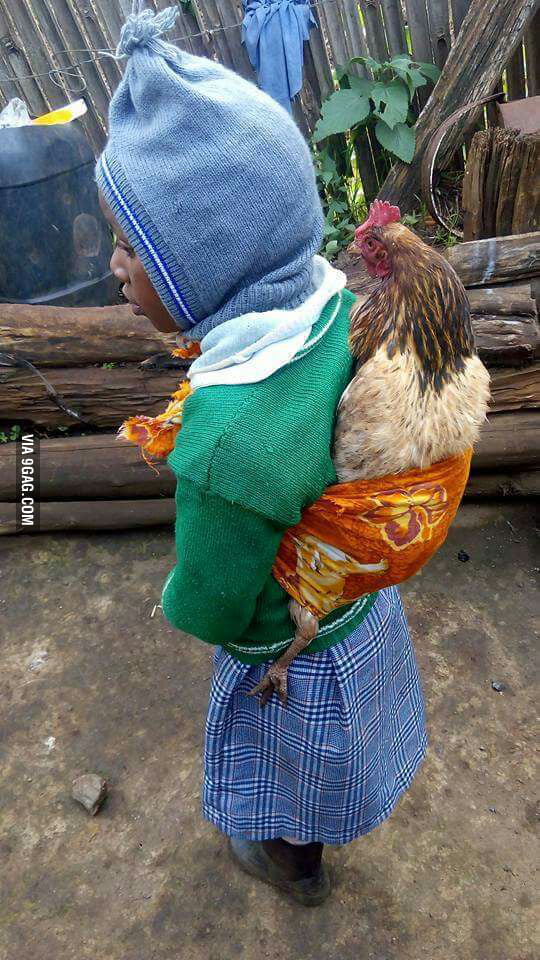 KFC witness protection program - 9GAG