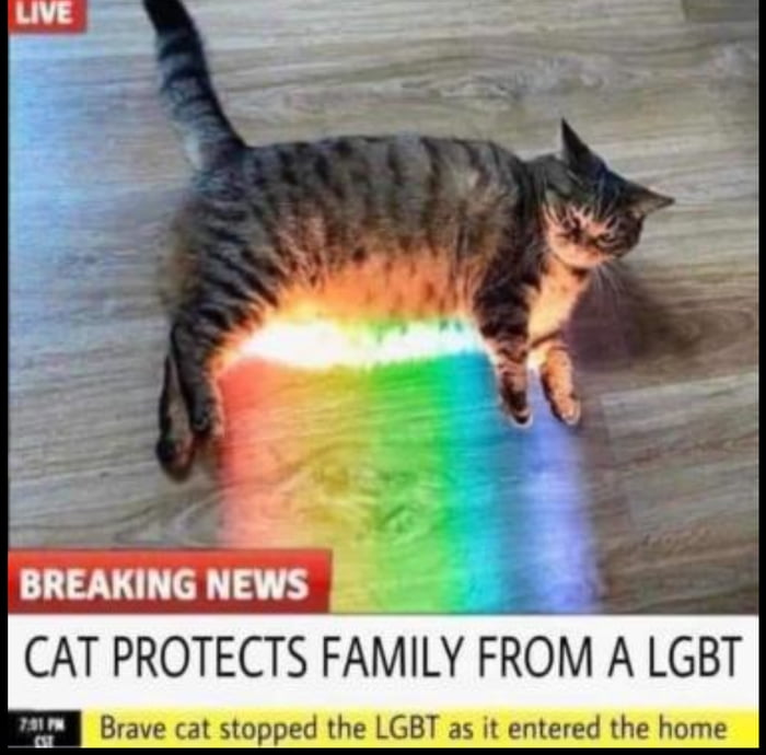 RGB cat - 9GAG