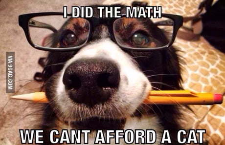 Cant Afford Meme