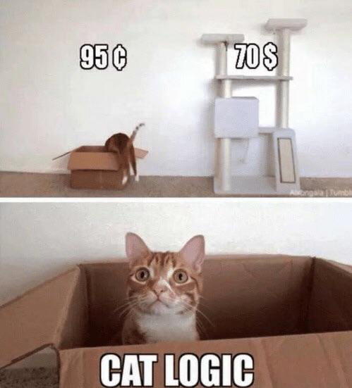 Cat logic - 9GAG