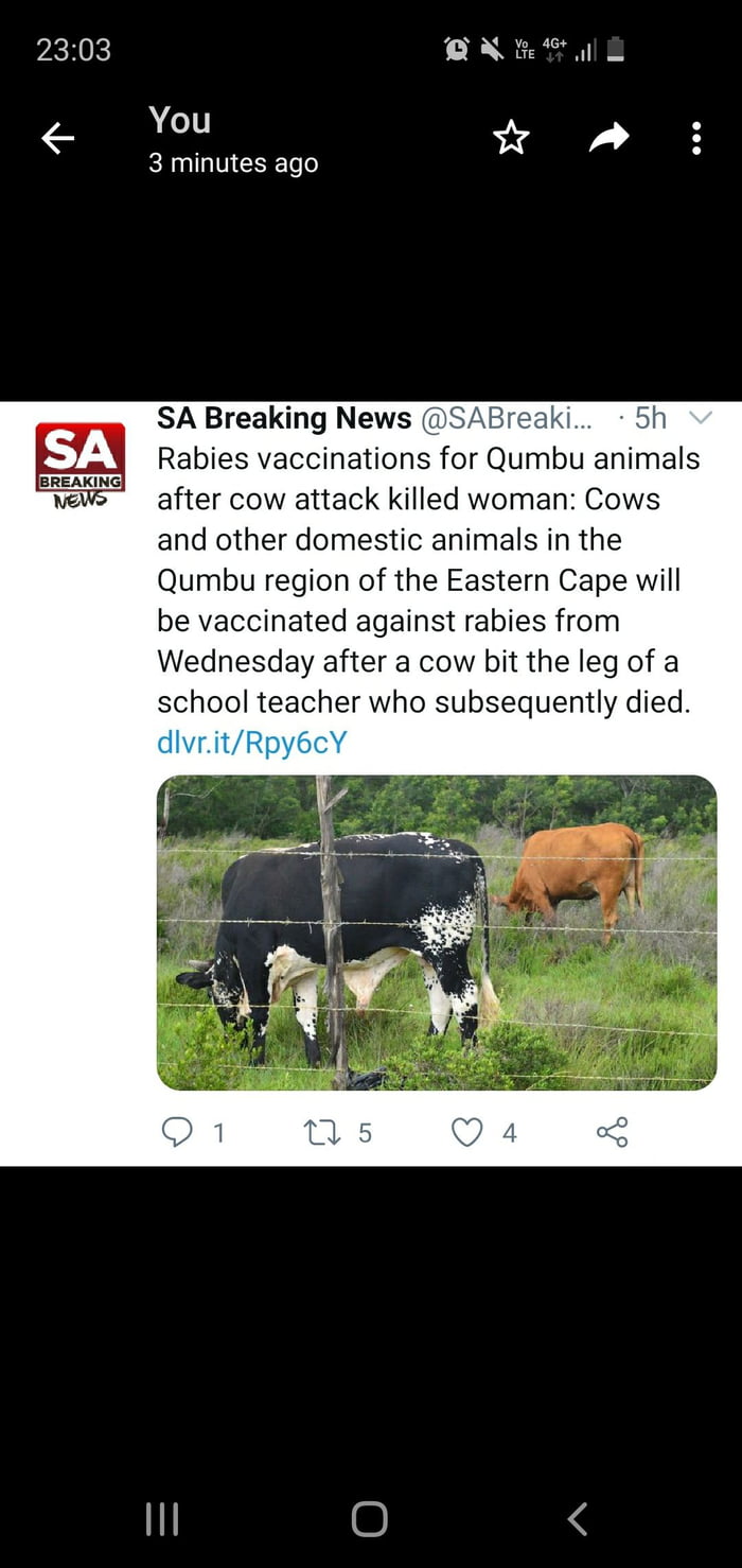 Fok ja Suid Afrika! 2021 is ons jaar. Jy weet daars kak as jou kos ...