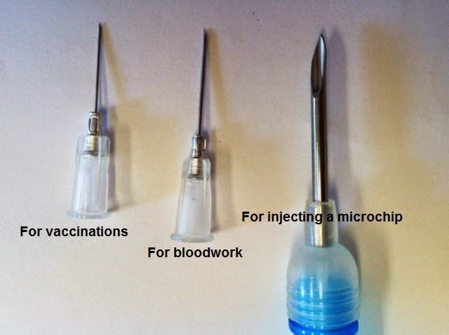 The difference in needle sizes for vaccines, blood draws, and pet ...