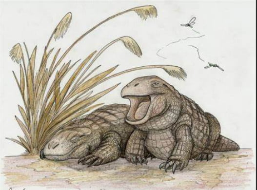 Simosuchus clarki was a species of Late Cretaceous crocodylomorphs from ...