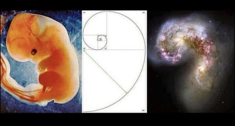 Best Funny fibonacci Memes - 9GAG