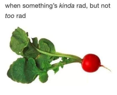 Best Funny radish Memes - 9GAG