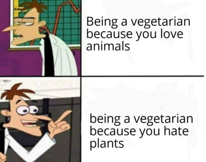 See you in hell you stupid fruit - 9GAG