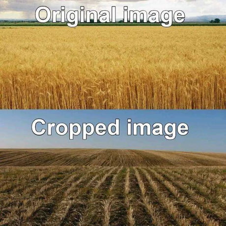 Best Funny crop Memes - 9GAG