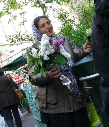 Best Funny gypsy Memes - 9GAG