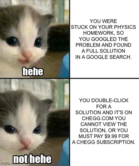 Physics Cat Meme