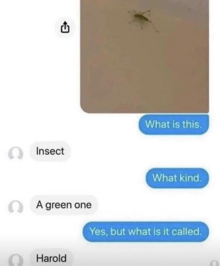 Insect - 9GAG