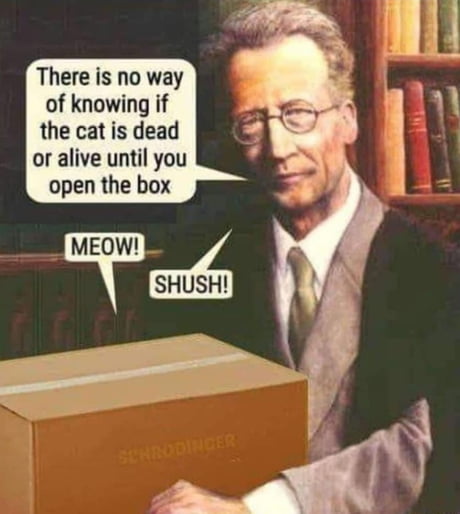 Best Funny schrodinger Memes - 9GAG