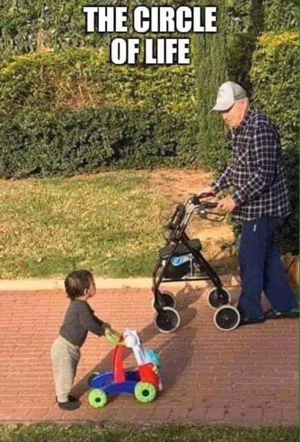 It's the circle of life... - 9GAG