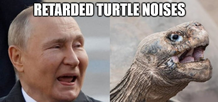 Retarded turtle noises - 9GAG