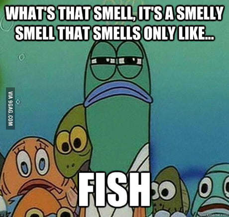Fishy Smell Memes Smells Like Rotten Tuna Meme By Hehtaaripeba :)