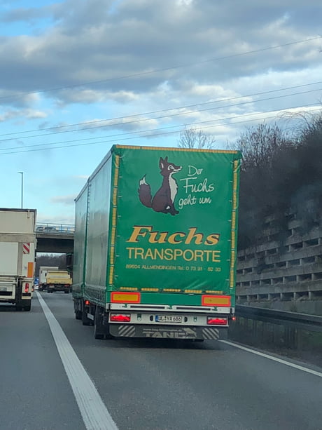 Herablassendes Fuchs Meme