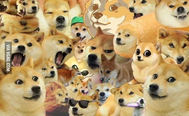 Much doge, Many wow - 9GAG