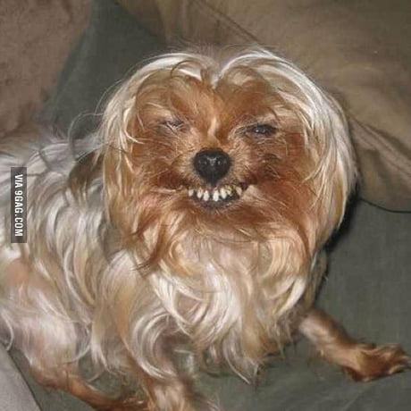 Girl With No Lips Meme | Lipstutorial.org