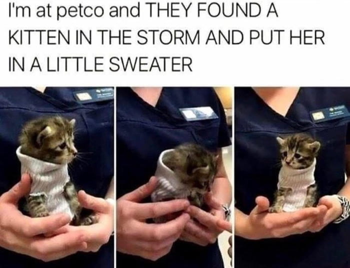 Poor little thing. - 9GAG