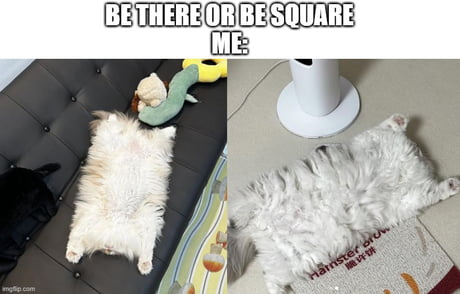 Best Funny square Memes - 9GAG