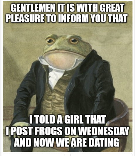 Best Funny frog Memes - 9GAG