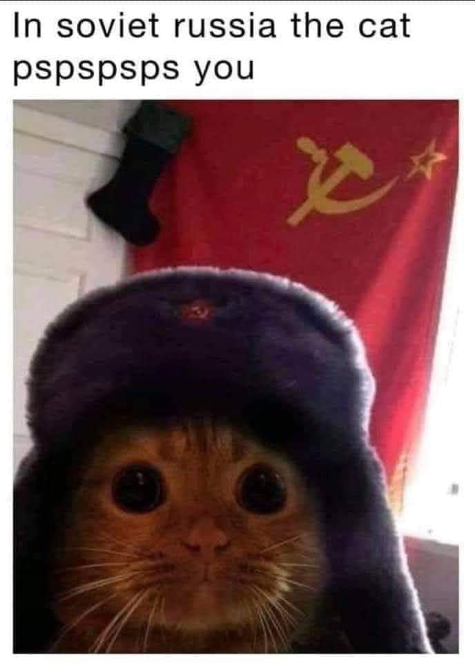 Soviet Cat!!!!! - 9GAG